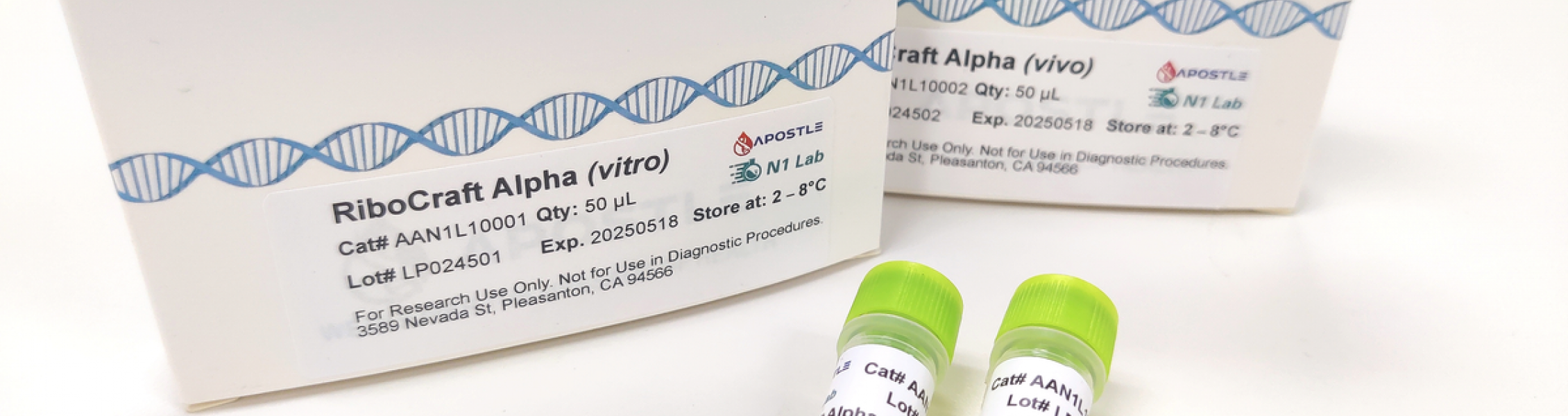 Transfection Reagents