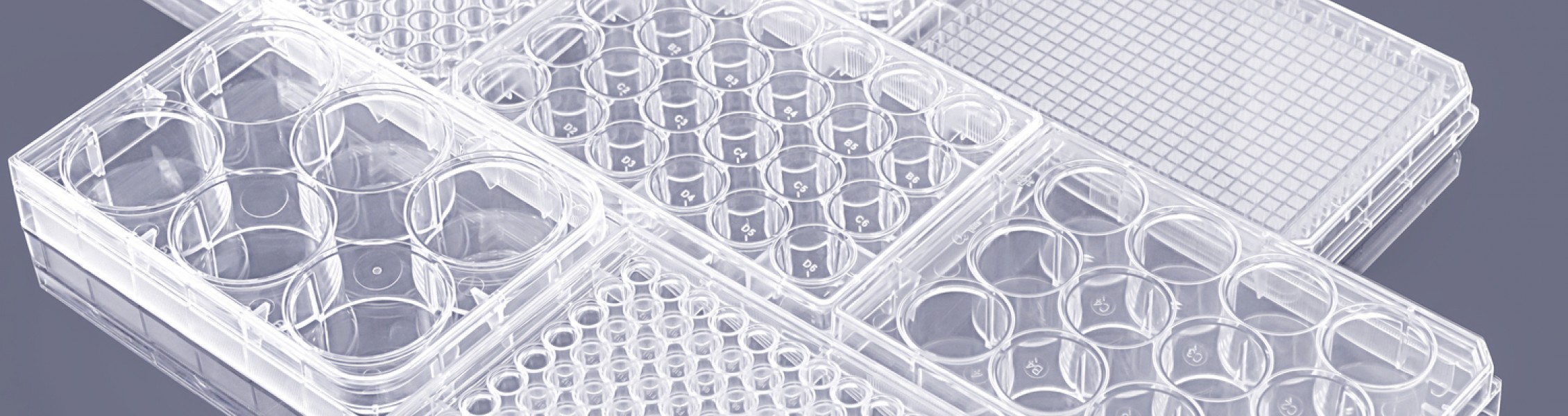 Cell Culture Plates
