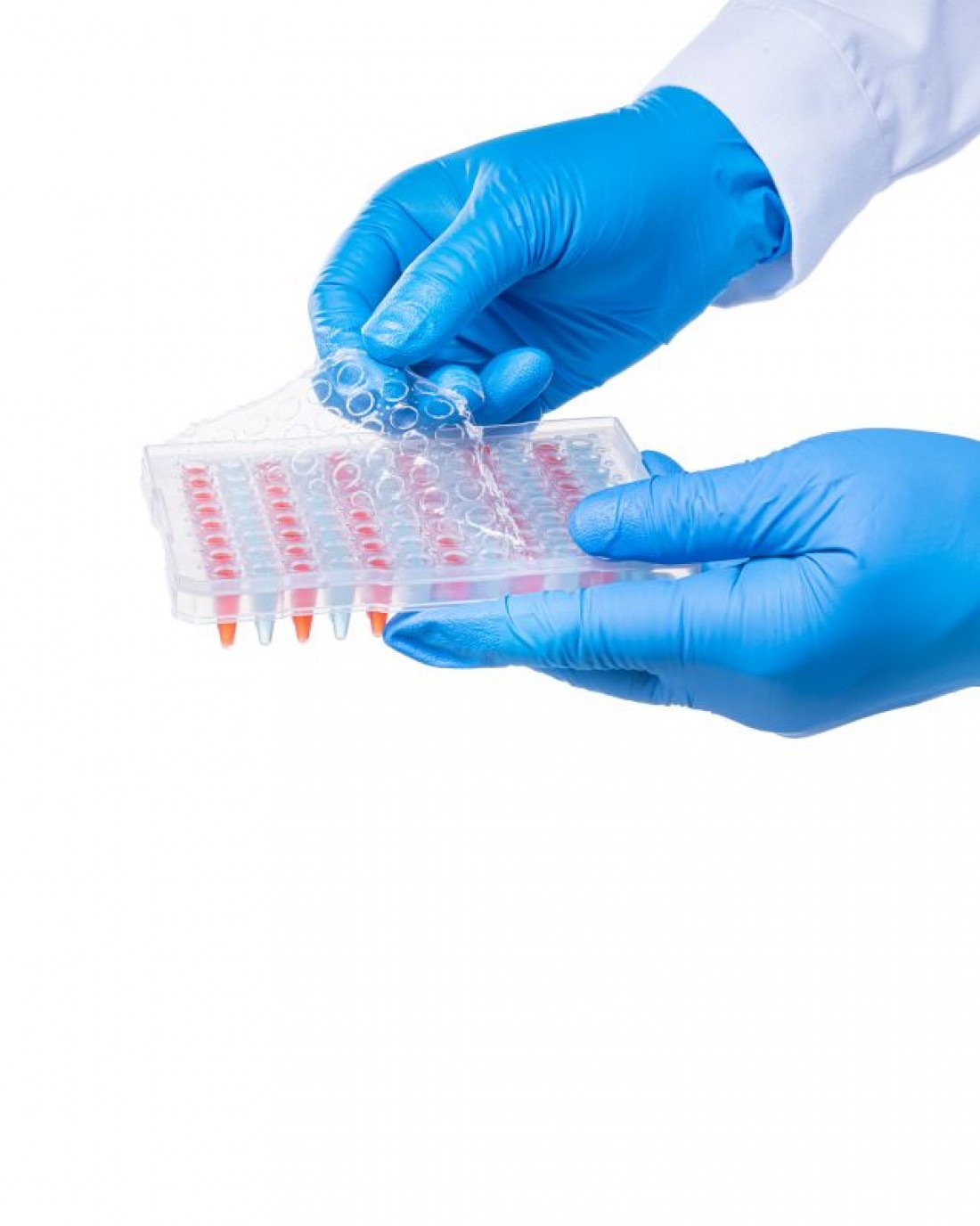 PCR Plate Optical Adhesive Film