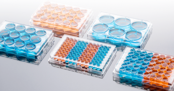 Cell Culture Plates