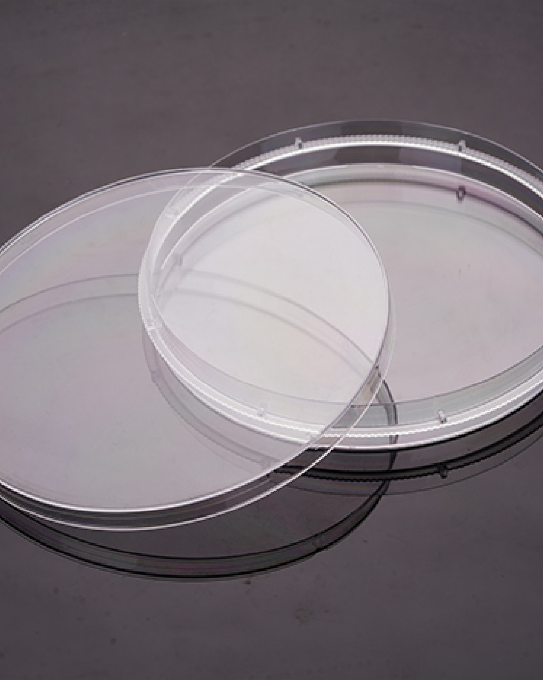 150mm Cell Culture Dishes with Grip ring