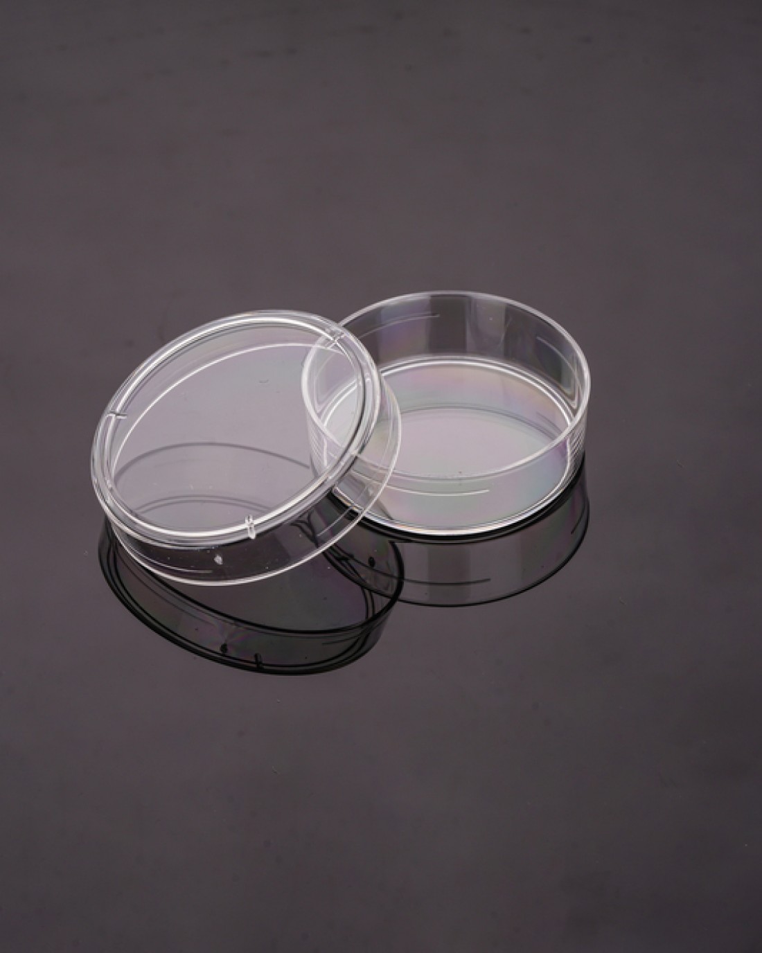 TC-treated Cell Culture Dishes, 35mm (500pcs)
