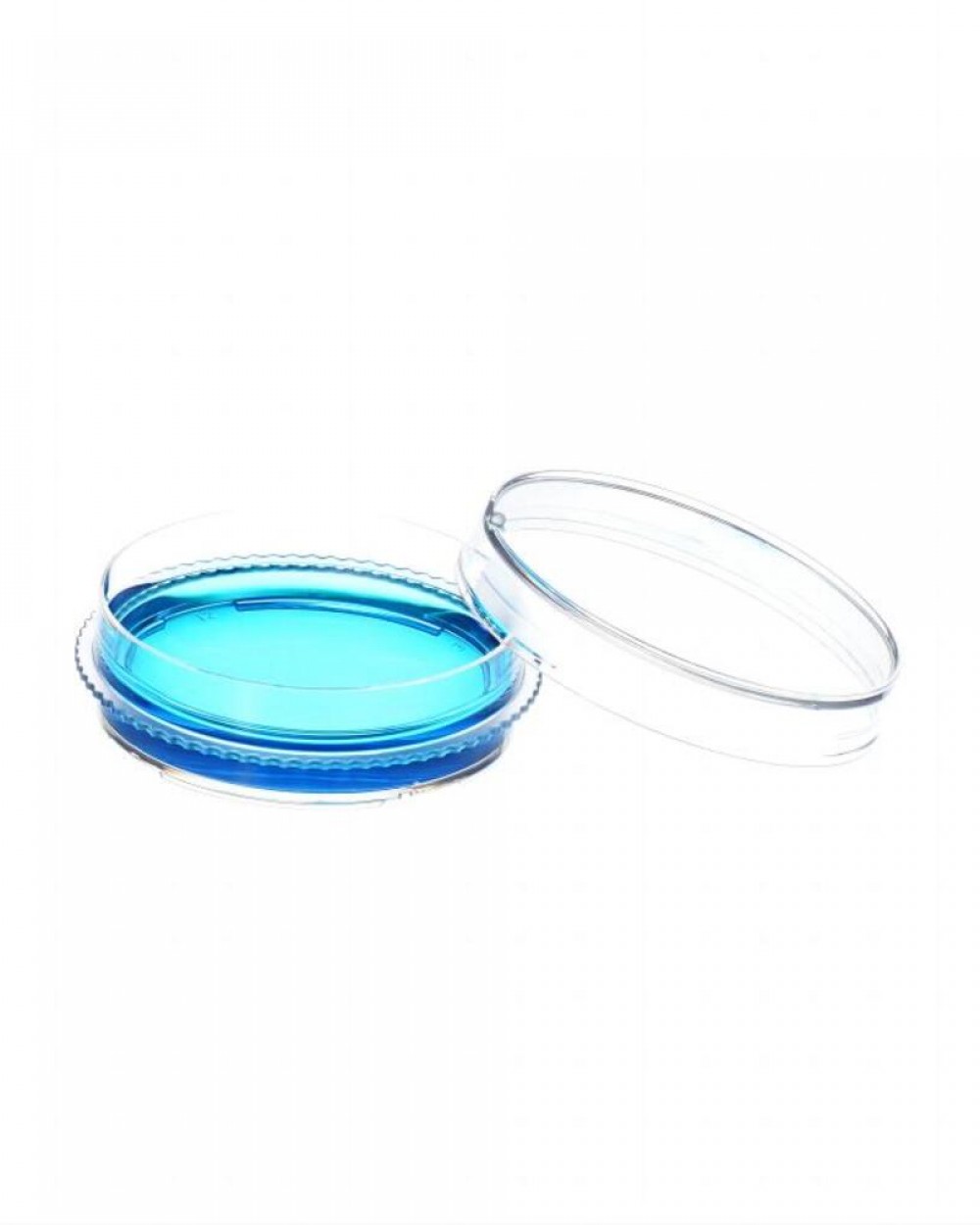 TC-treated Cell Culture Dishes with Grip ring, 35mm (500pcs)