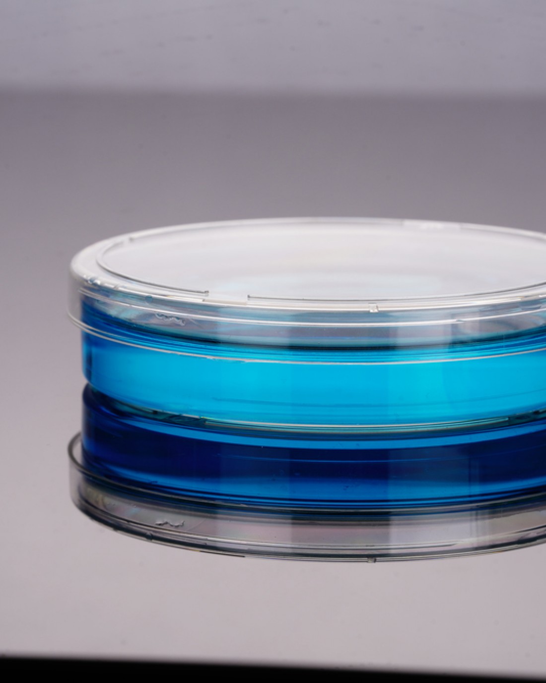 100mm Cell Culture Dishes