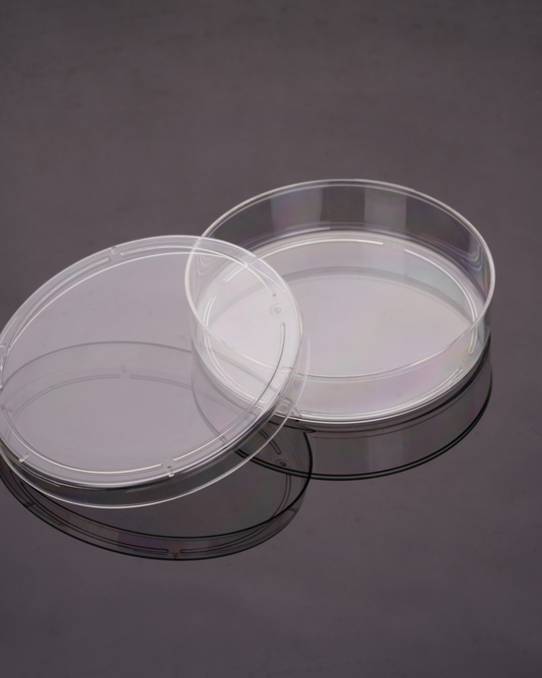 100mm Cell Culture Dishes