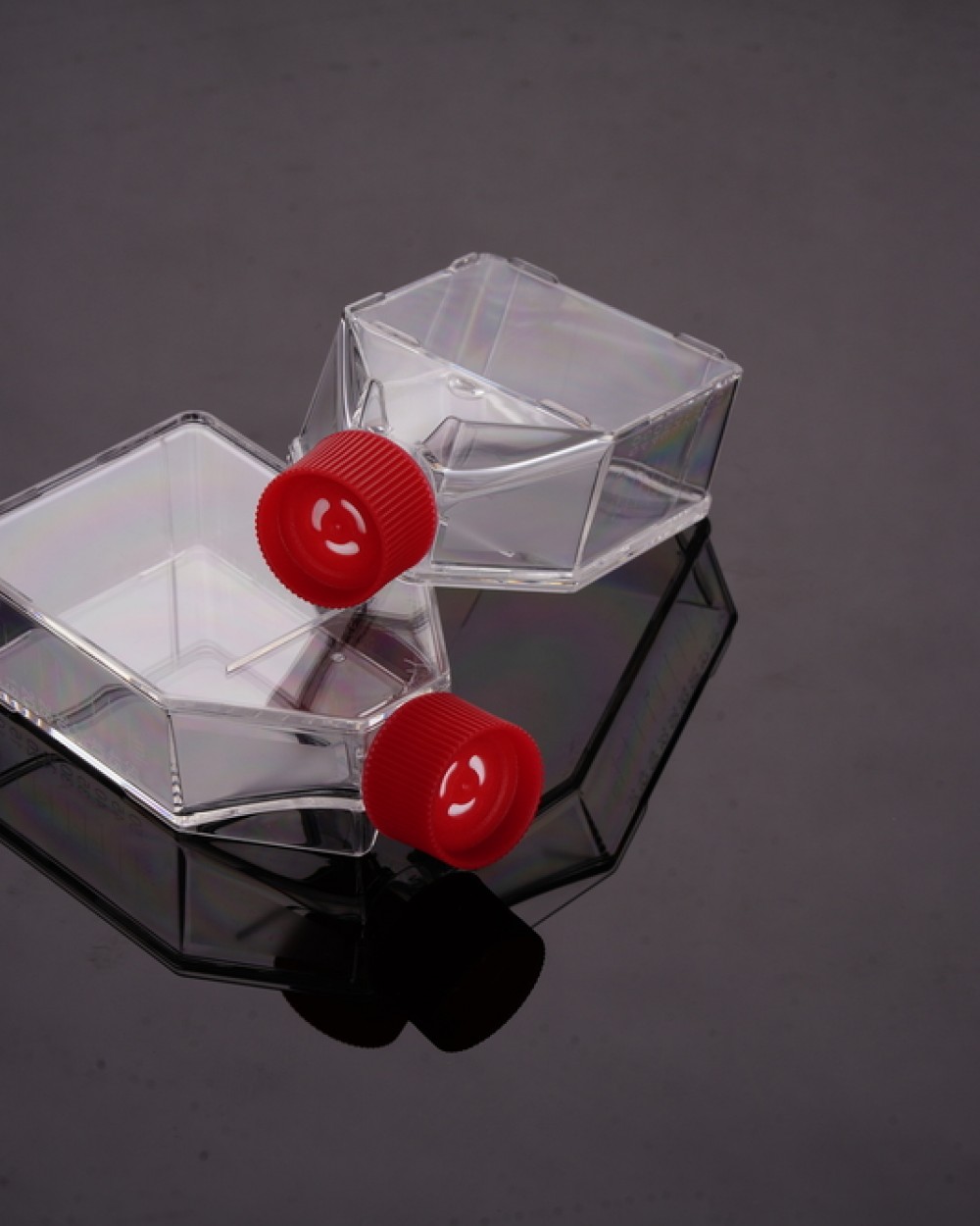 TC-Treated Cell Culture Flasks, Vent Cap, 25cm2 (300pcs)