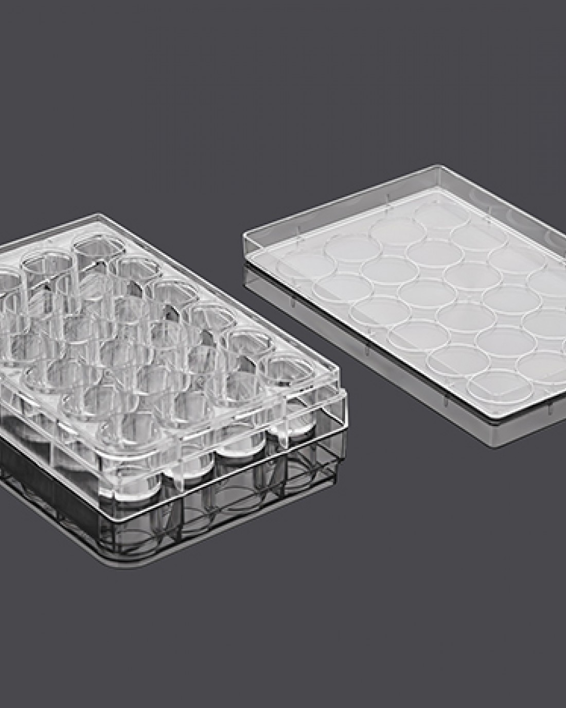 24-Well Cell Culture Plates