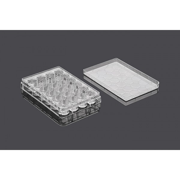 Lab Consumables