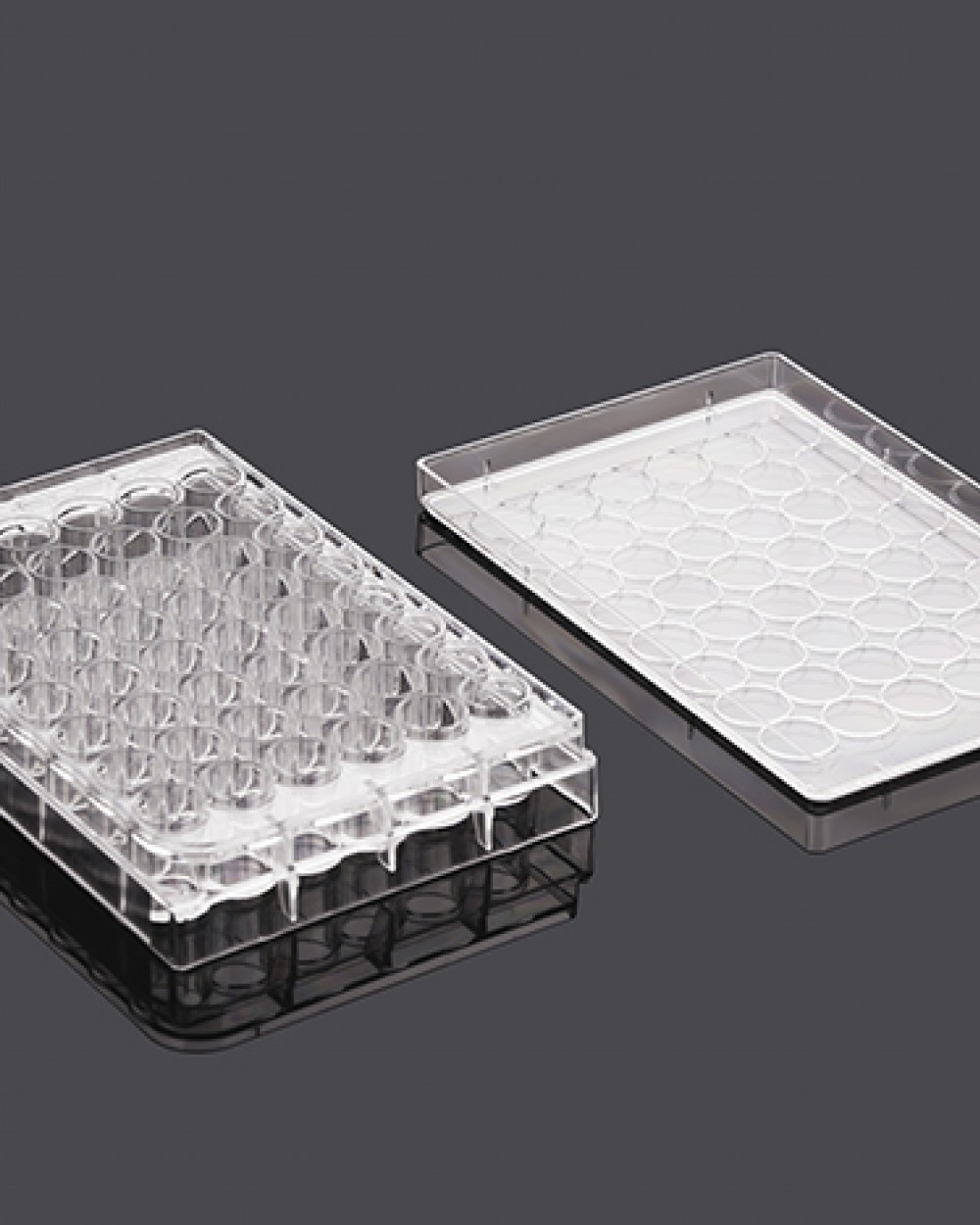 48-Well Cell Culture Plates