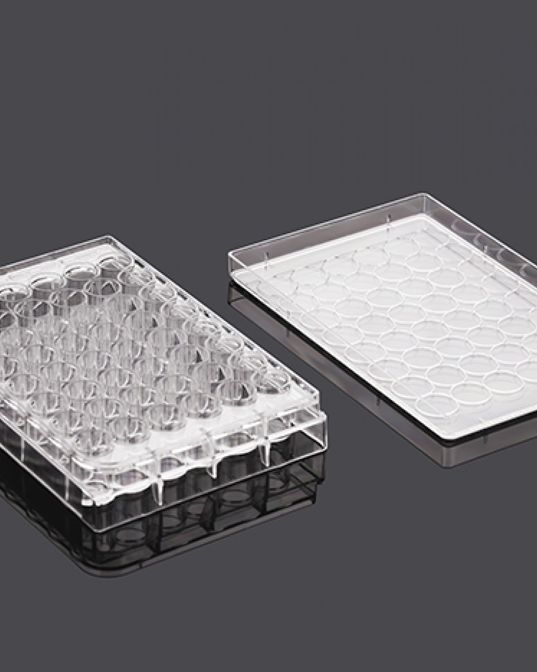 48-Well Cell Culture Plates
