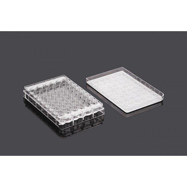 Lab Consumables