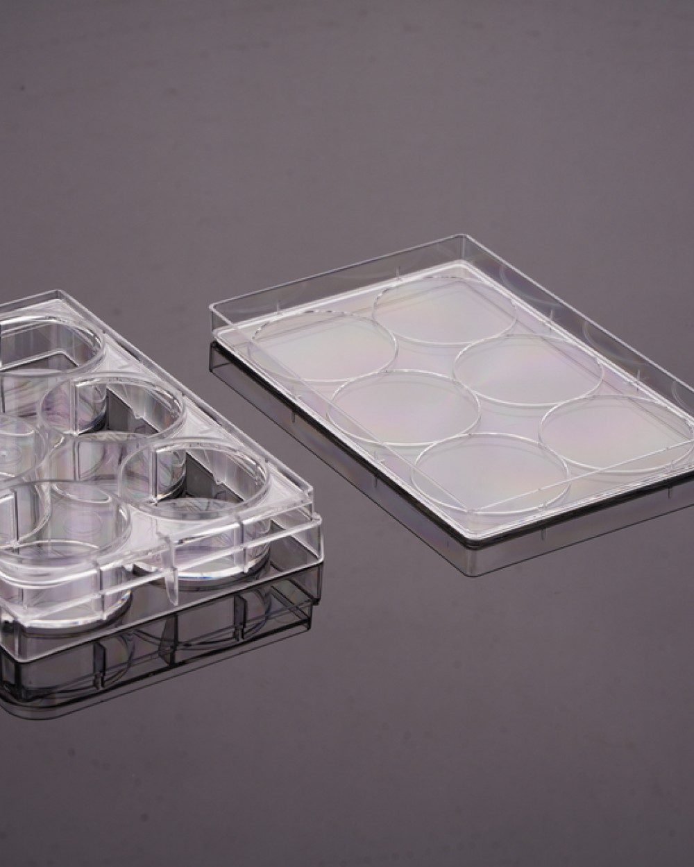 6-Well Cell Culture Plates