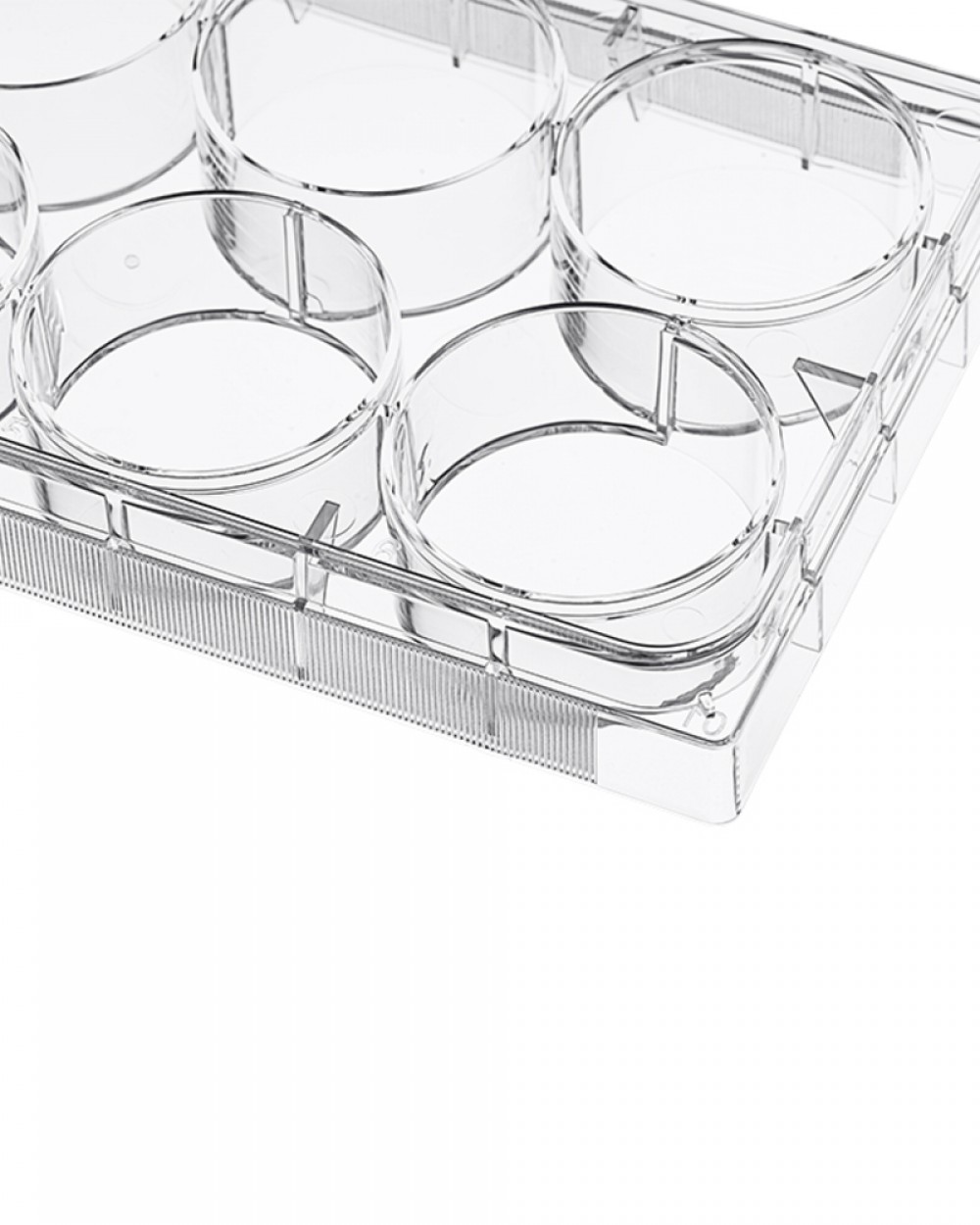 6-Well Cell Culture Plates