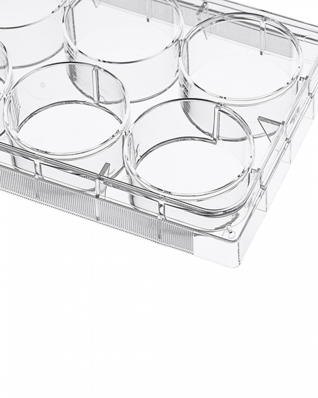 6-Well Cell Culture Plates