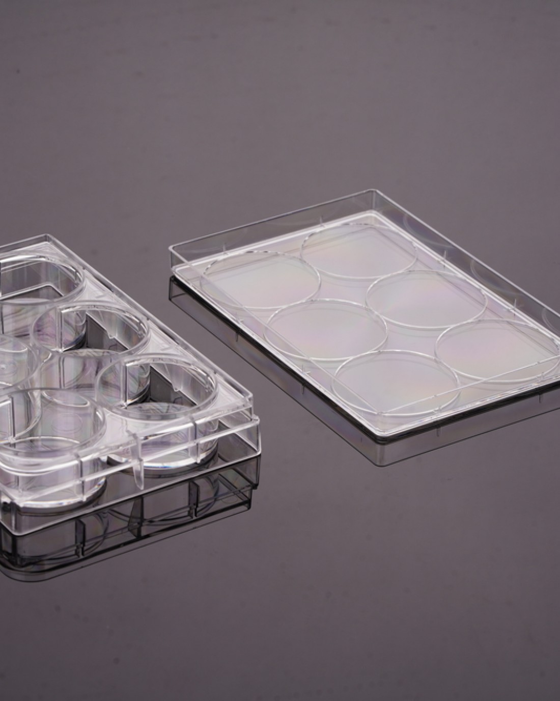 6-Well Cell Culture Plates