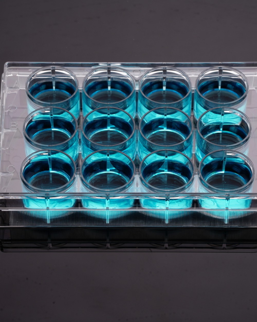 12-Well Cell Culture Plates