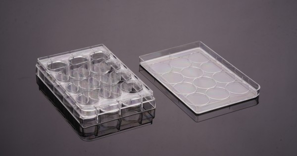 12-Well Cell Culture Plates