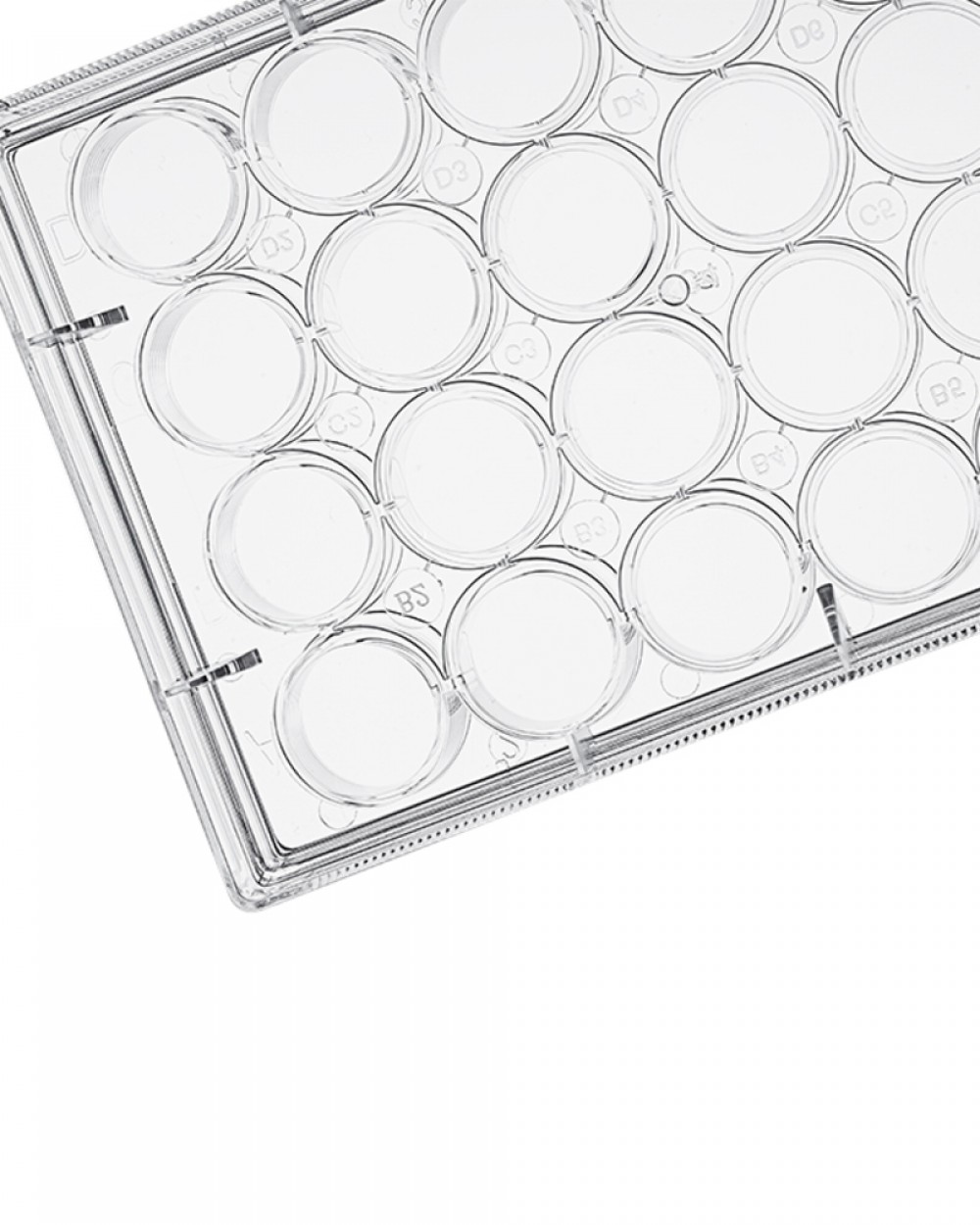 24-Well Cell Culture Plates