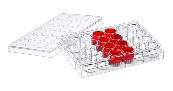 TC-treated 24-Well Cell Culture Plates (50pcs, Flat-bottom ...