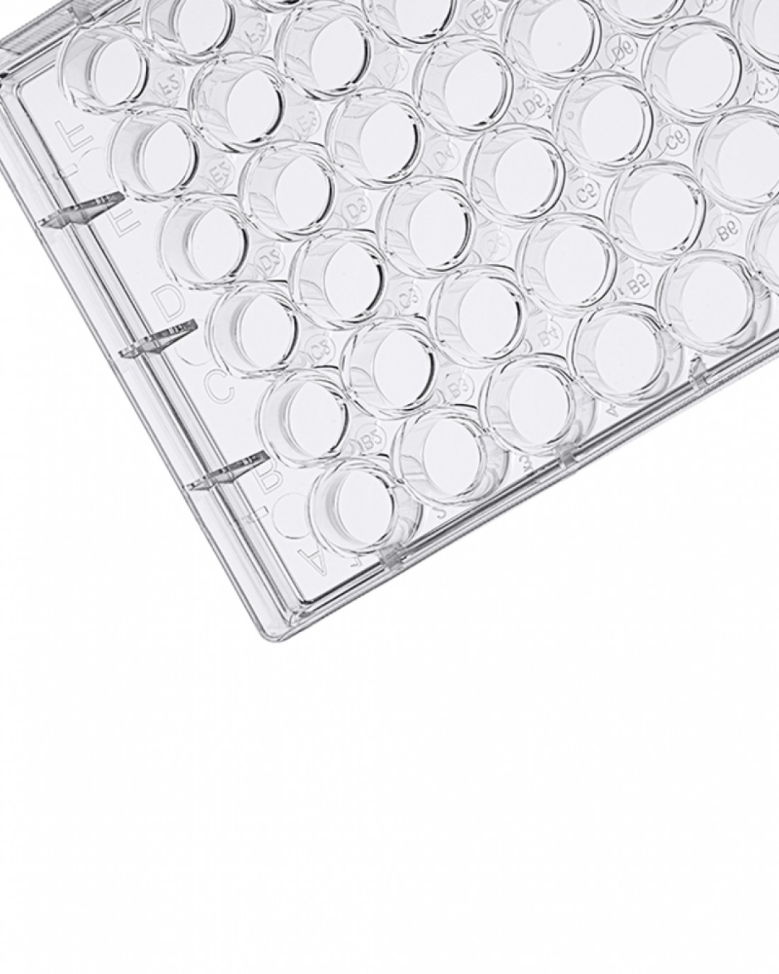 48-Well Cell Culture Plates