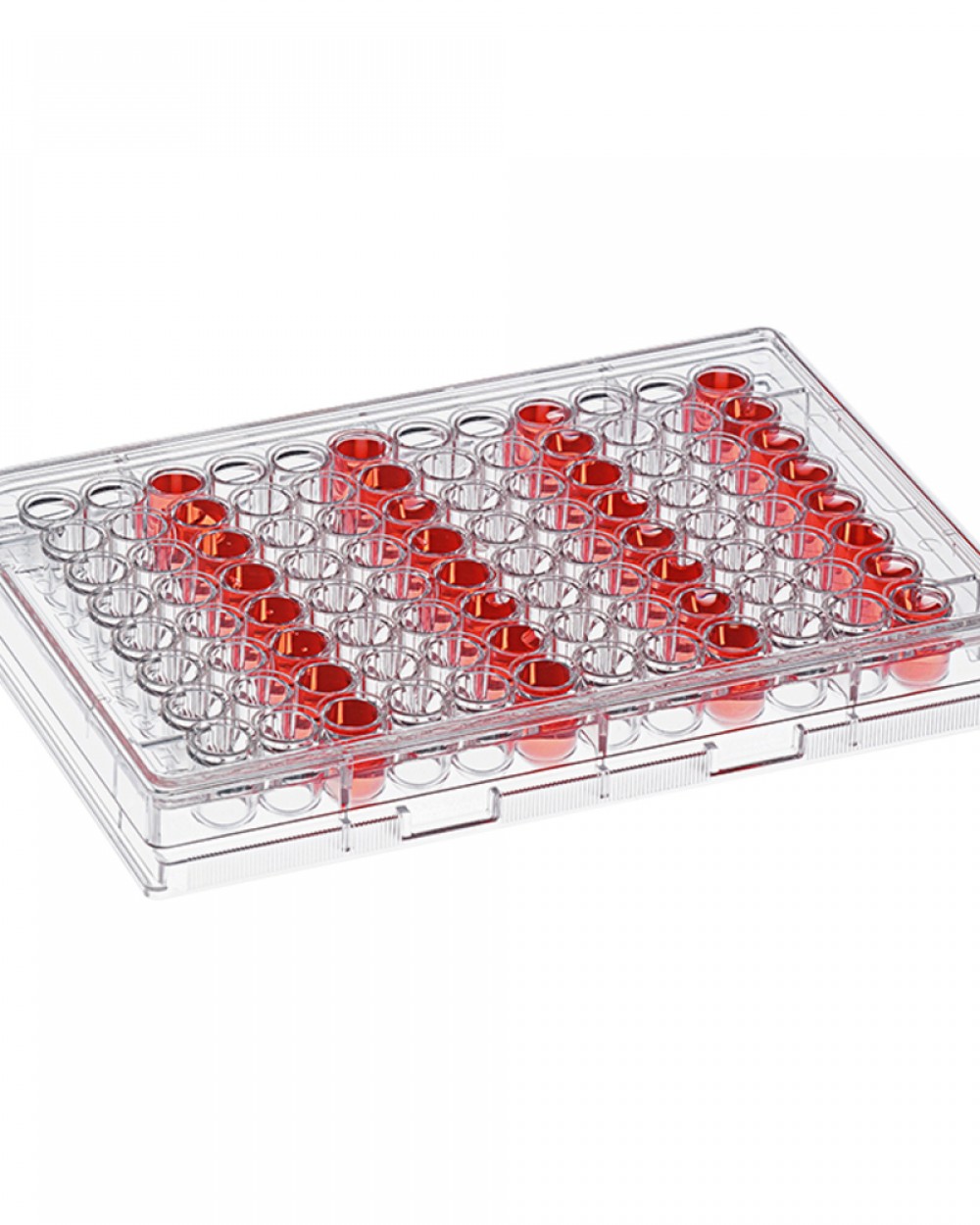 TC-treated 96-Well Cell Culture Plates (50pcs, Flat-bottom ...