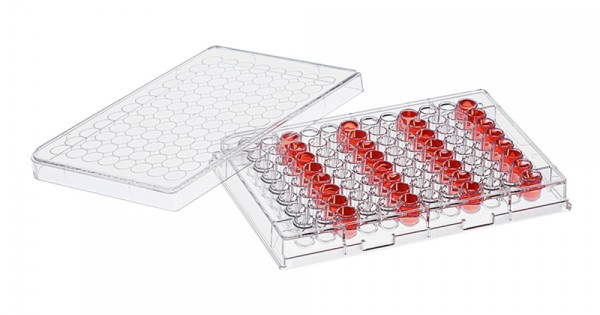 TC-treated 96-Well Cell Culture Plates (50pcs, Flat-bottom ...