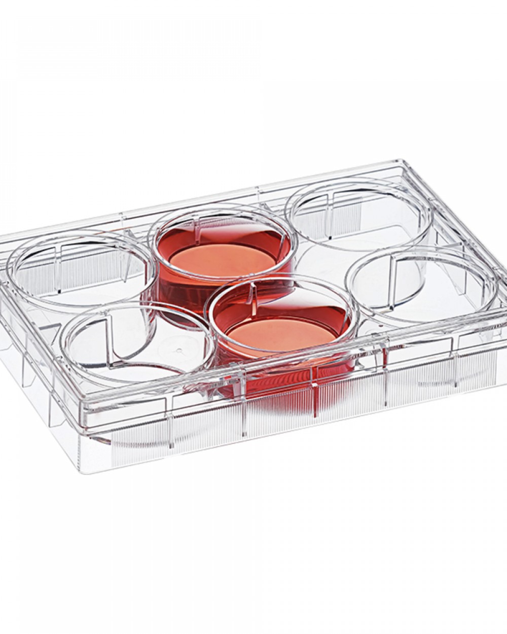 NPsurface 6-Well Cell Culture Plates (50pcs, Flat-bottom, Individually ...