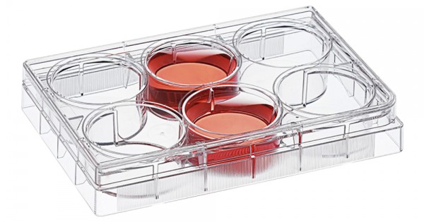 NPsurface 6-Well Cell Culture Plates (50pcs, Flat-bottom, Individually ...