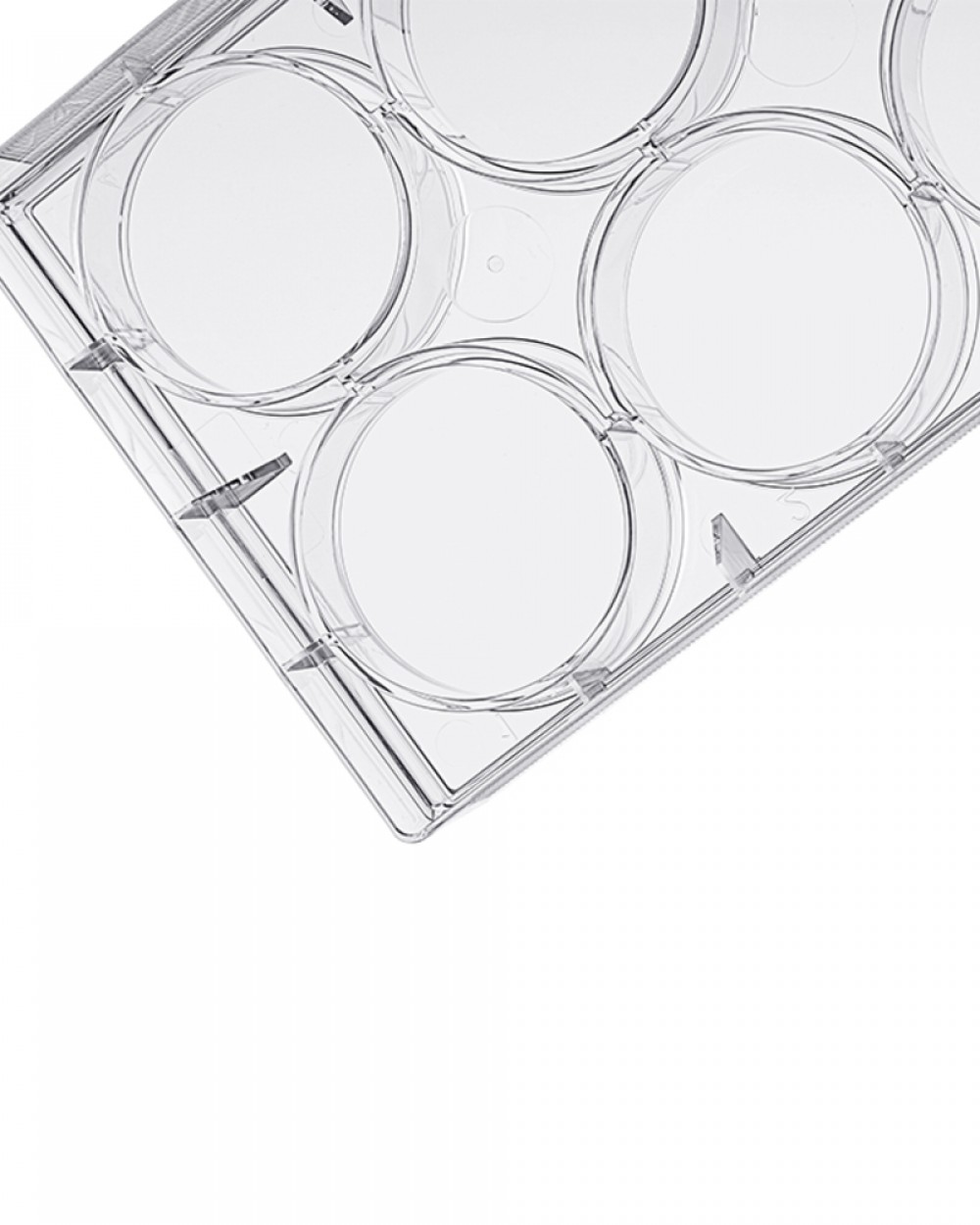 NPsurface 6-Well Cell Culture Plates (50pcs, Flat-bottom, Individually ...