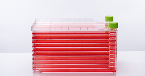 Multi-layer Cell Factory