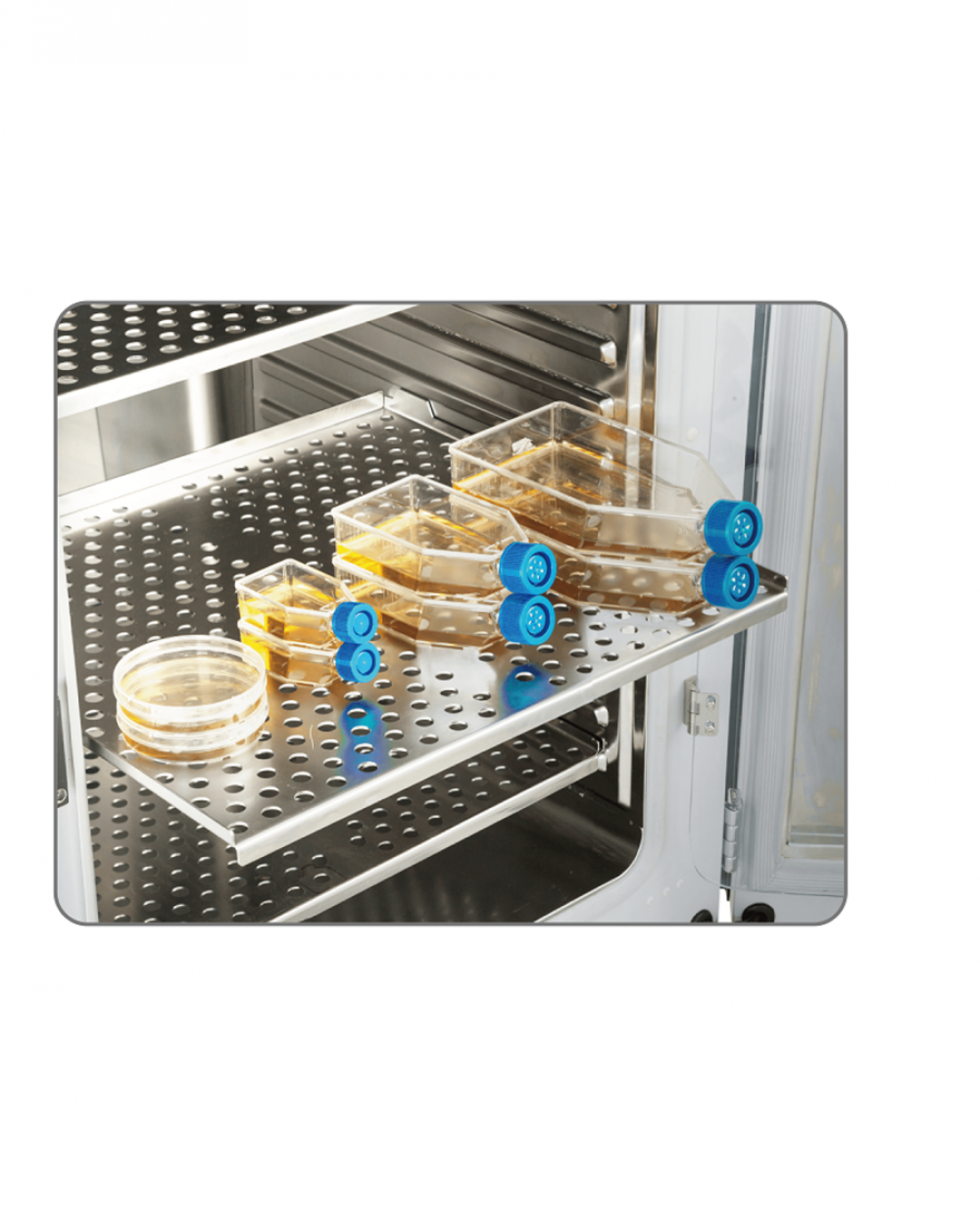 Biomedical CO₂ Incubator (258L/9.1cf, humidity reservoir: 0.5~3L) (115V)